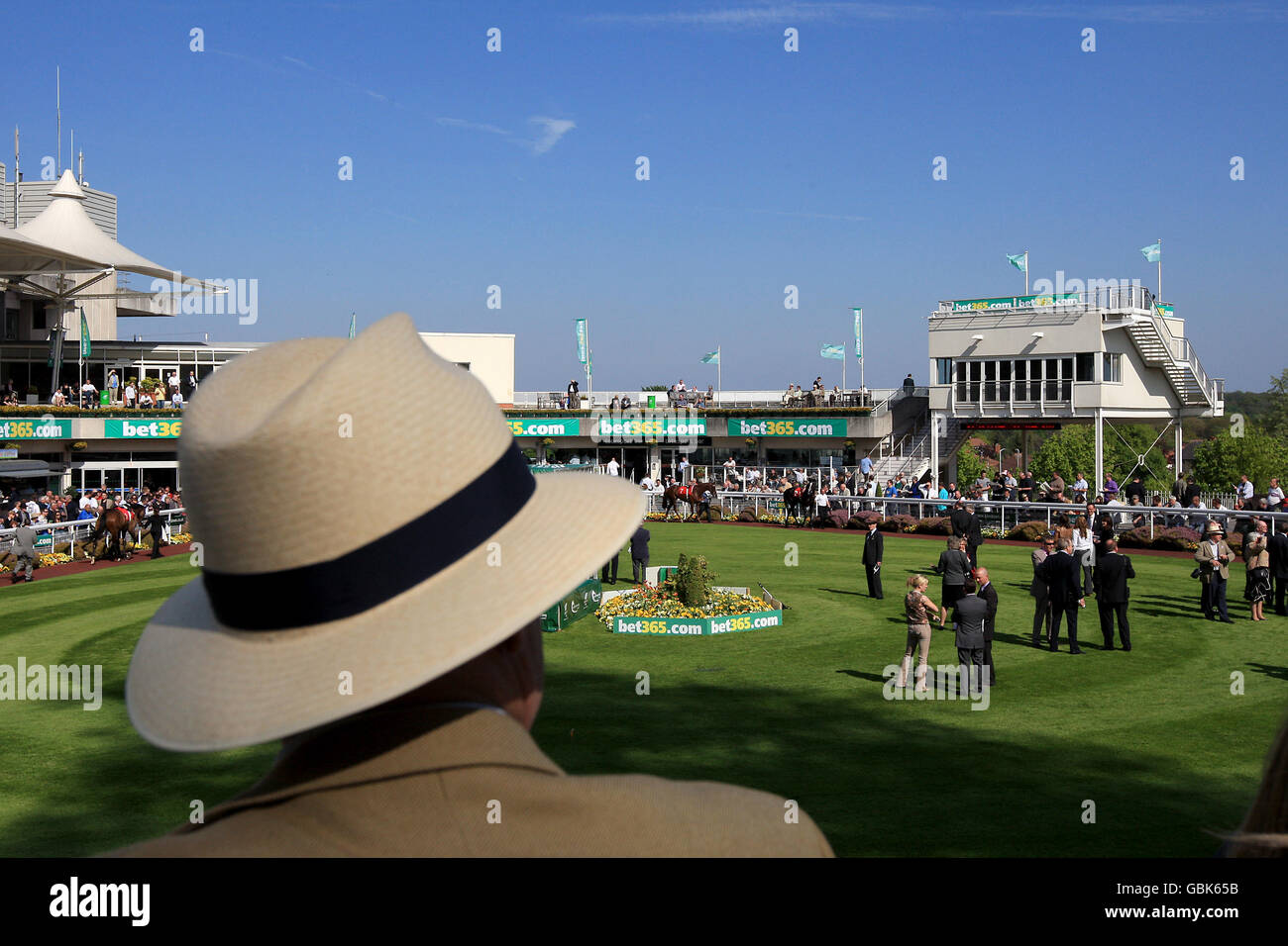 Horses are paraded round the pre parade ring before the race Stock ...