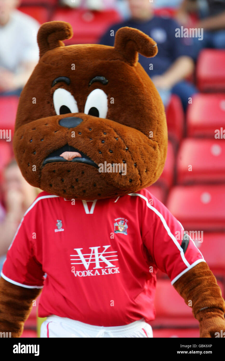 Barnsley mascot toby tyke hi-res stock photography and images - Alamy