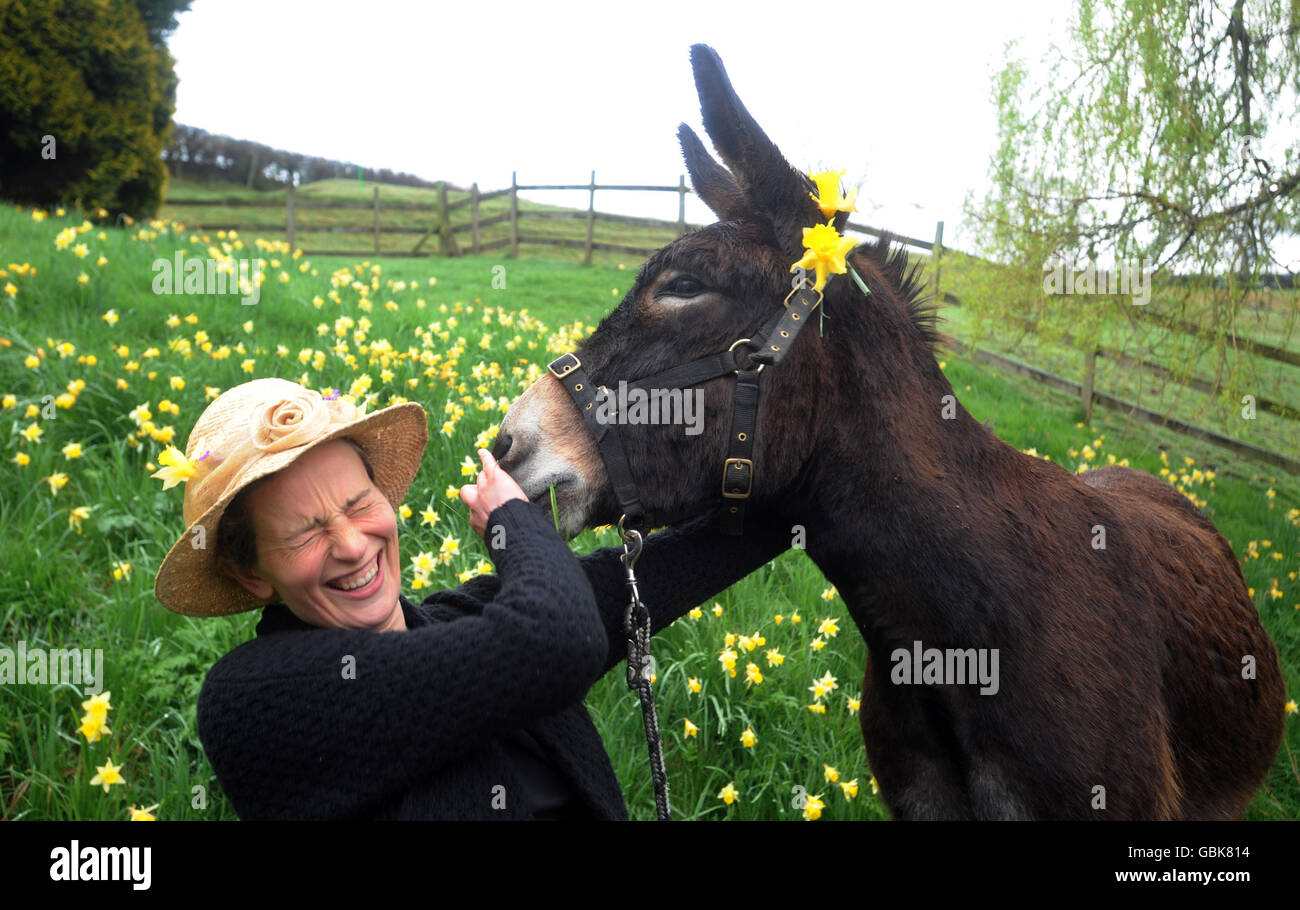 Donkey leads Easter walk Stock Photo - Alamy