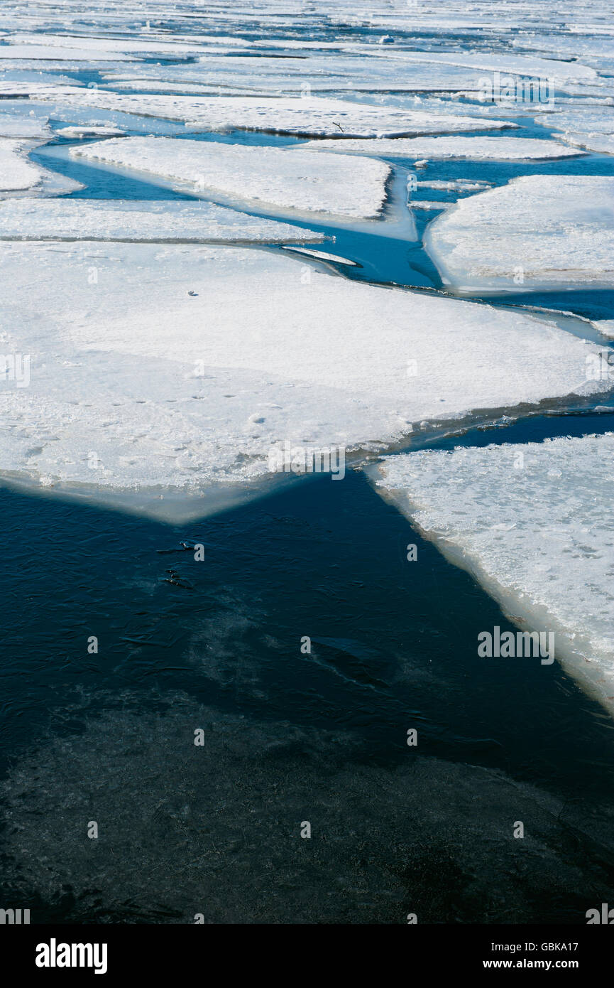 Ice sheets, Sweden, Europe Stock Photo - Alamy