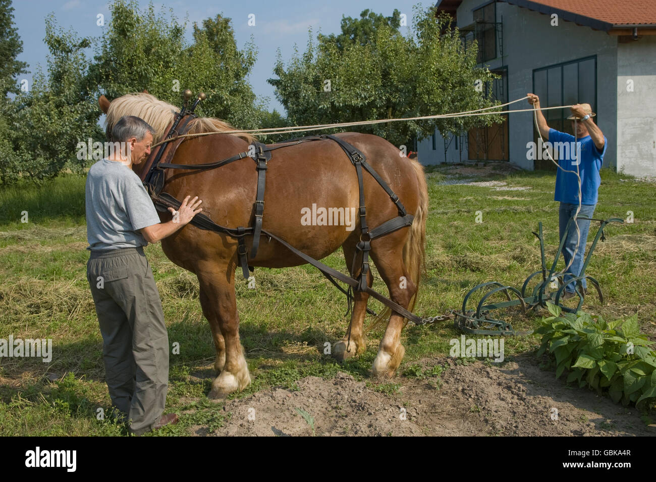 Woman ploughing field hi-res stock photography and images - Alamy