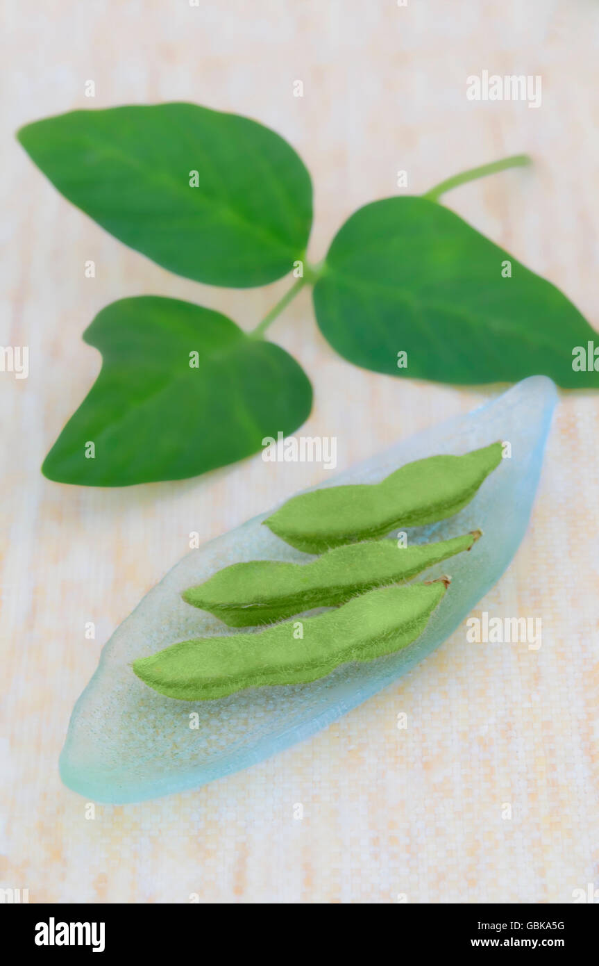 Soyabeans, edamame, Japan, Asia Stock Photo - Alamy