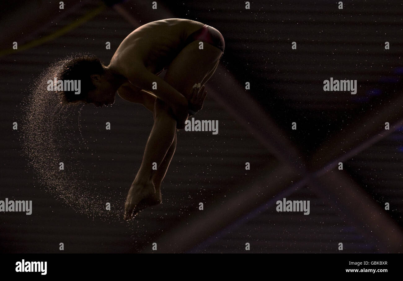 Diving - Fina Diving World Series 2009 - Day Two - Ponds Forge Stock ...