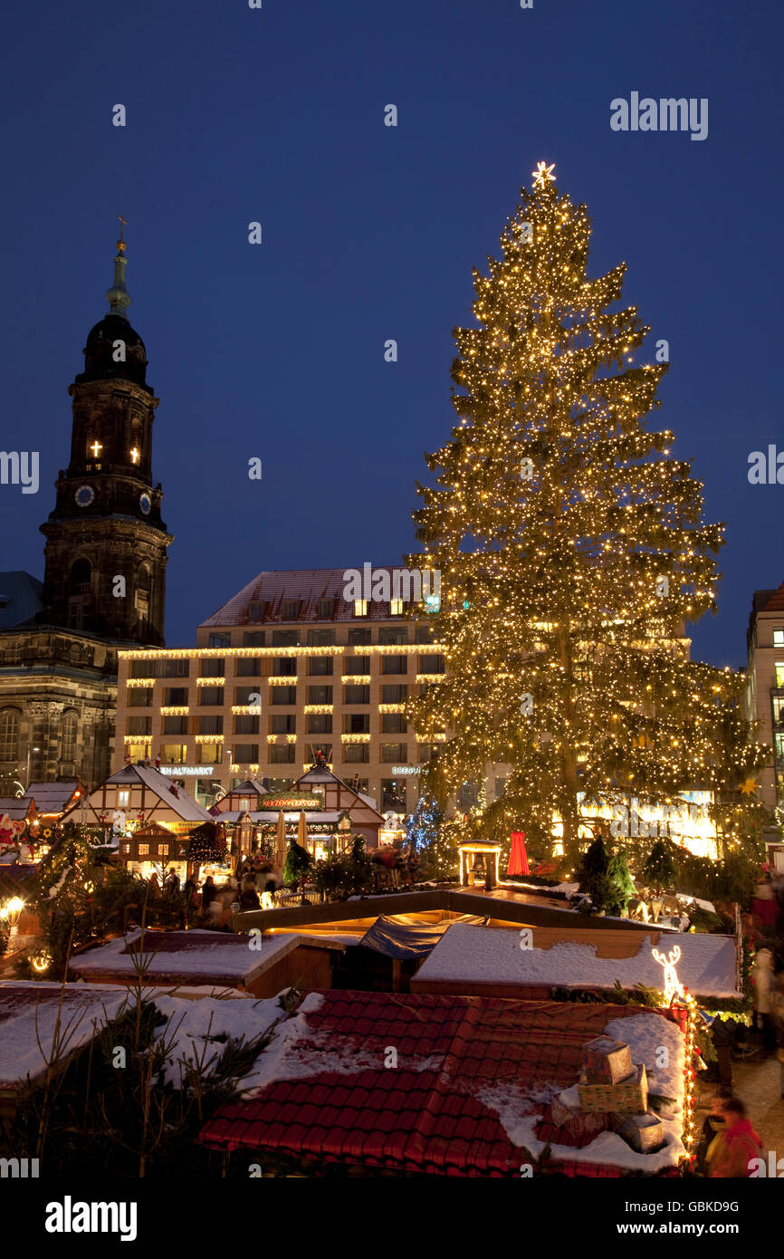Christmas tree on the Striezelmarkt Christmas market, Altmarkt square ...