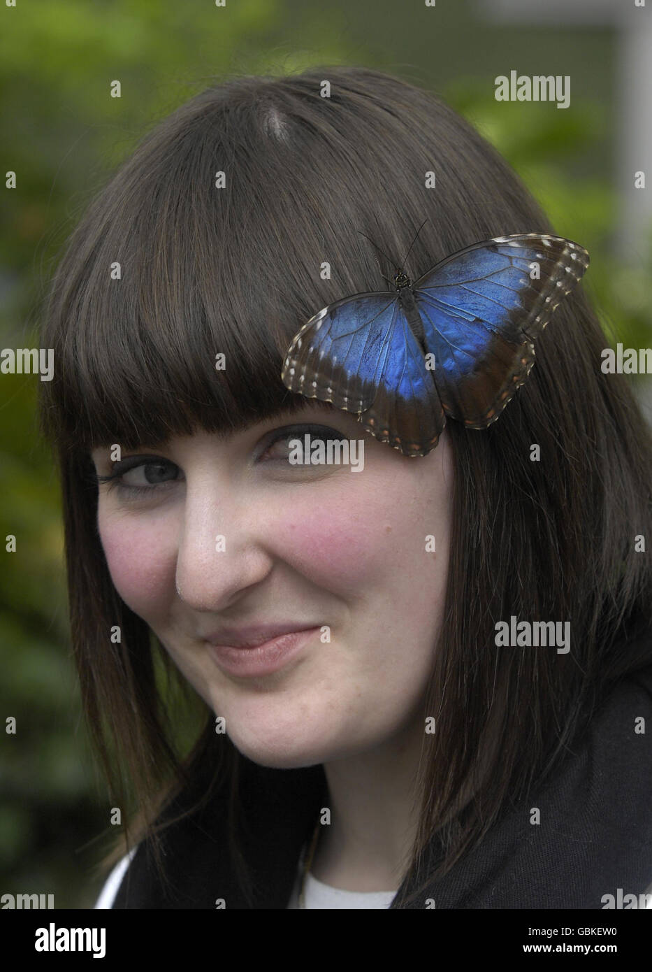 Jane Lucas from the Natural History Museum takes a close look at one of ...