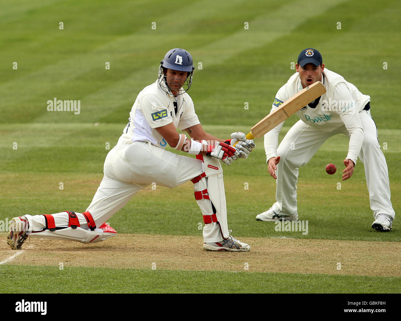 Warwickshires ant botha hi-res stock photography and images - Alamy