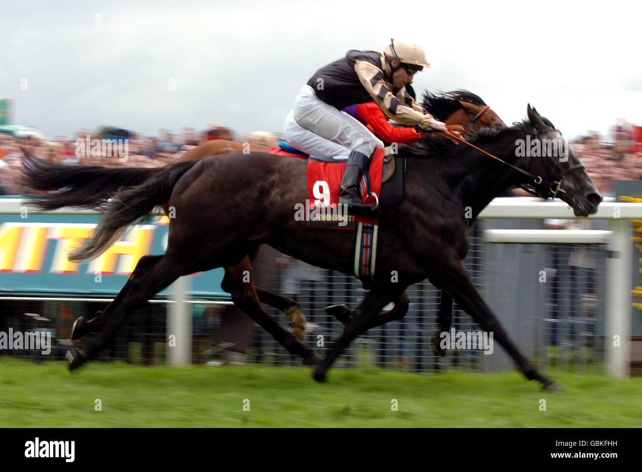 Horse Racing - York Races Stock Photo - Alamy