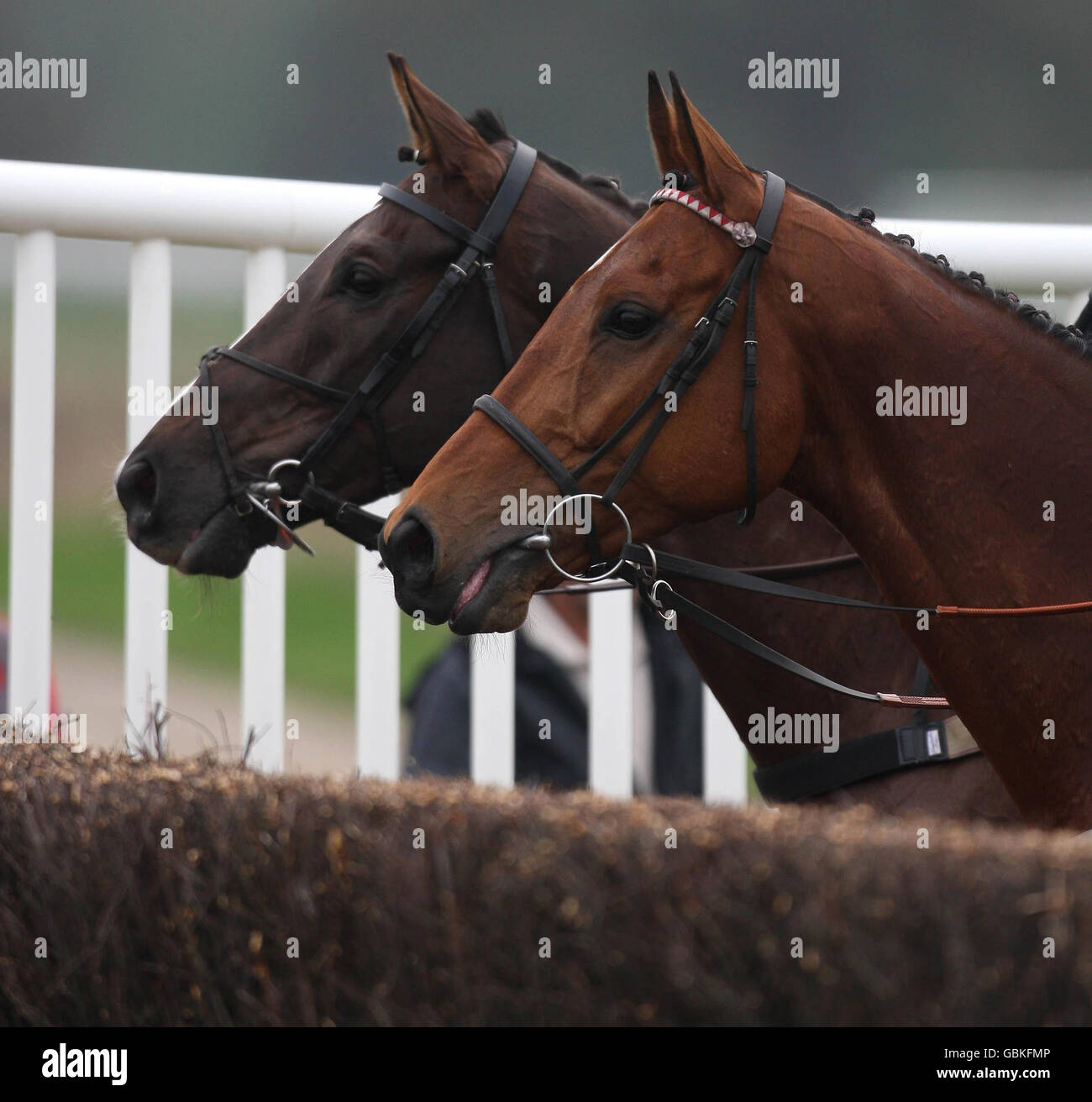 Perth racecourse general hi-res stock photography and images - Alamy