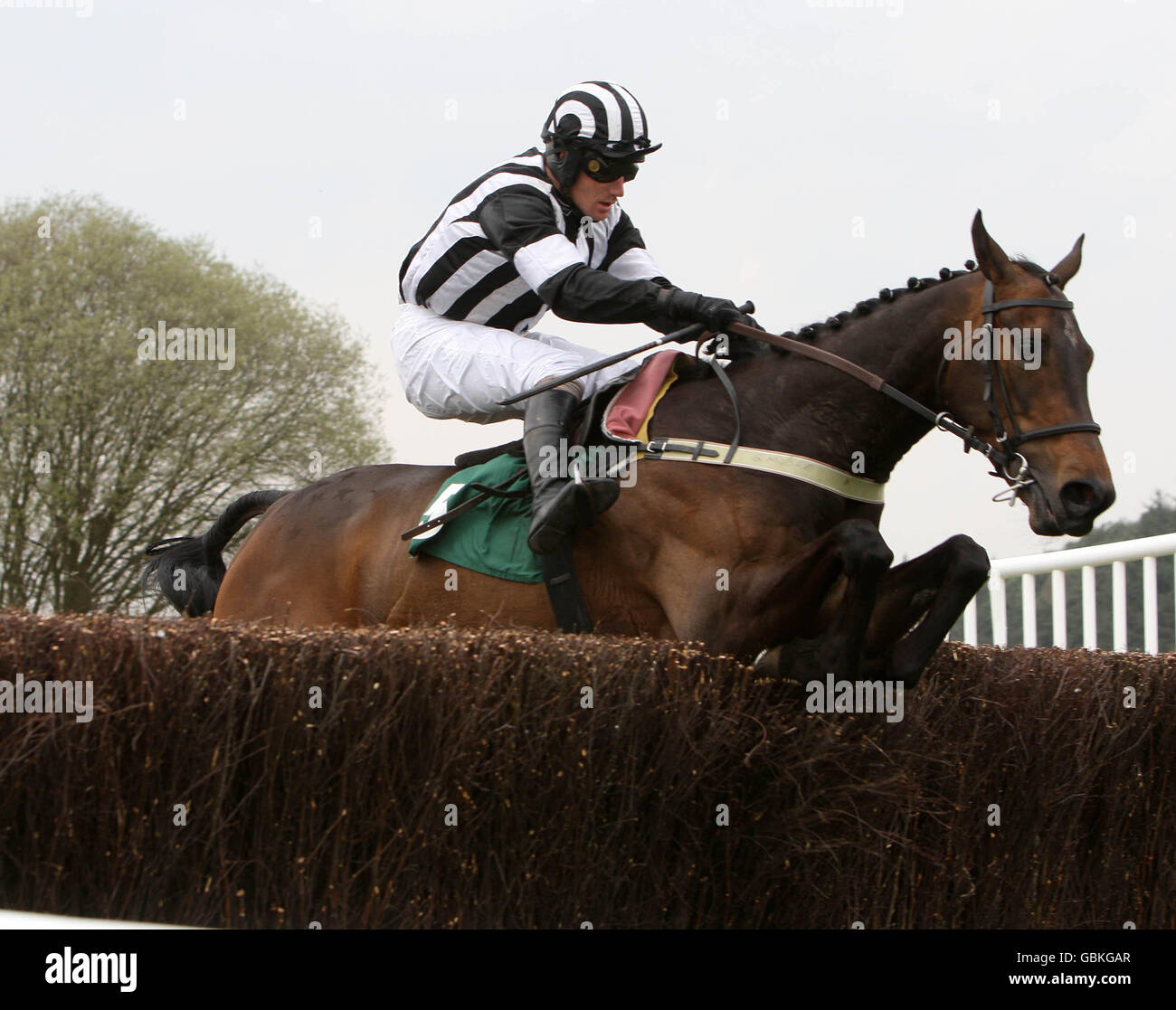 Timothy hardie hi-res stock photography and images - Alamy