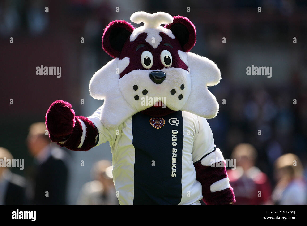 Heart midlothian mascot hi-res stock photography and images - Alamy