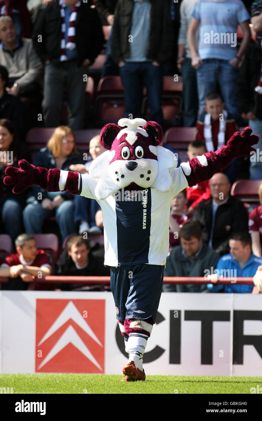Heart of midlothian mascot hi-res stock photography and images - Alamy