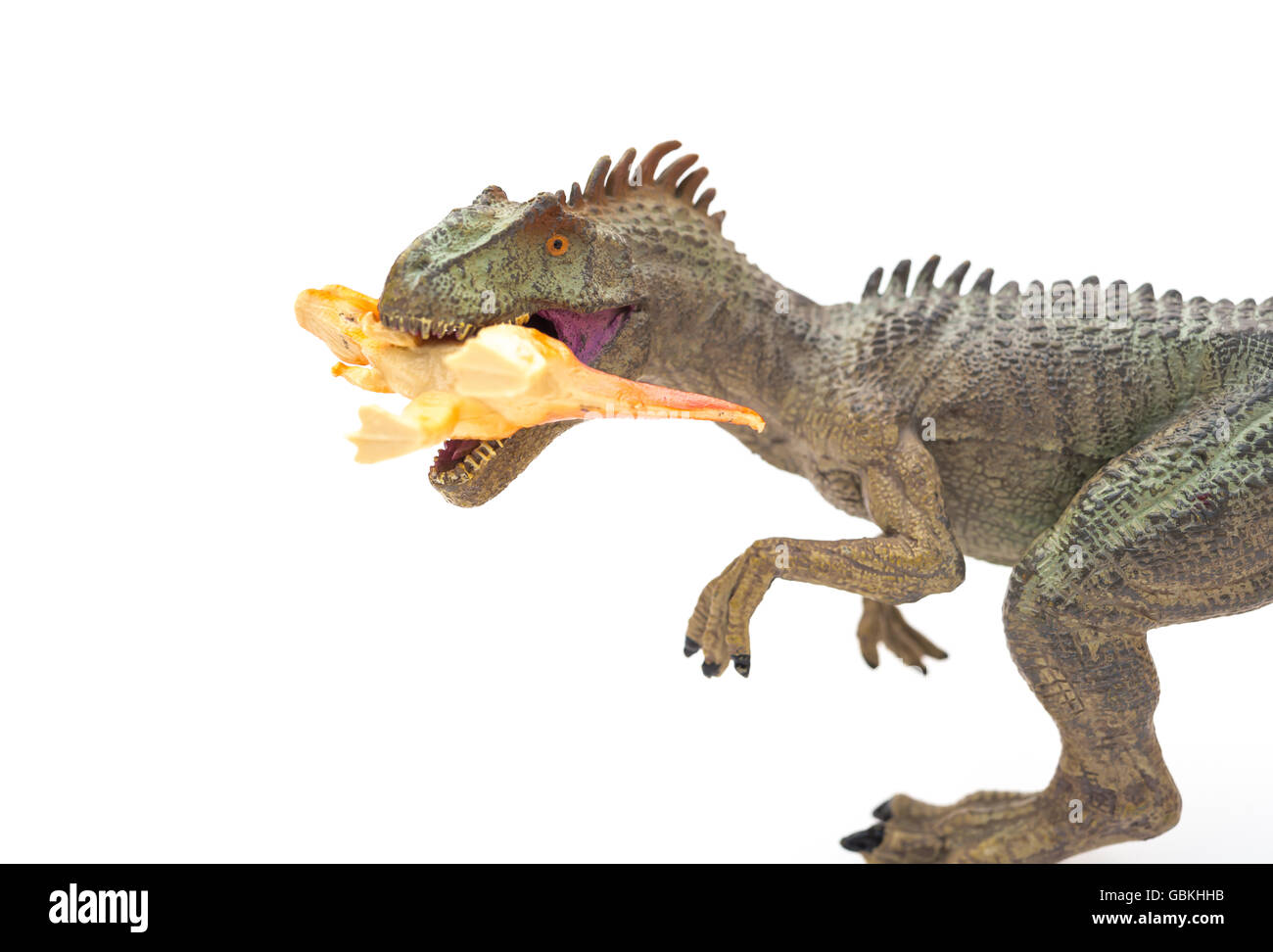 Disonaur hi-res stock photography and images - Alamy