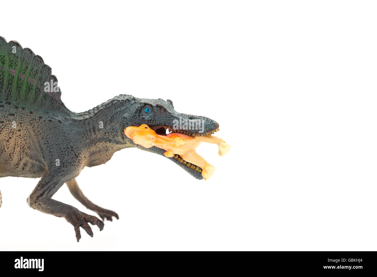 side view grey spinosaurus toy catching a smaller disonaur on white ...
