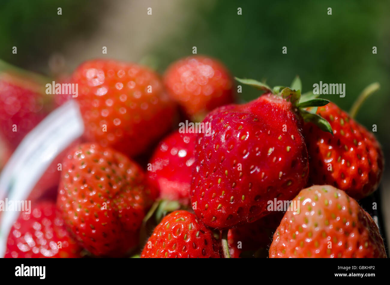 Straberry fruits hi-res stock photography and images - Alamy