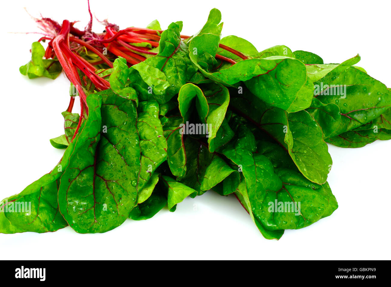 Beetroot leave hi-res stock photography and images - Alamy