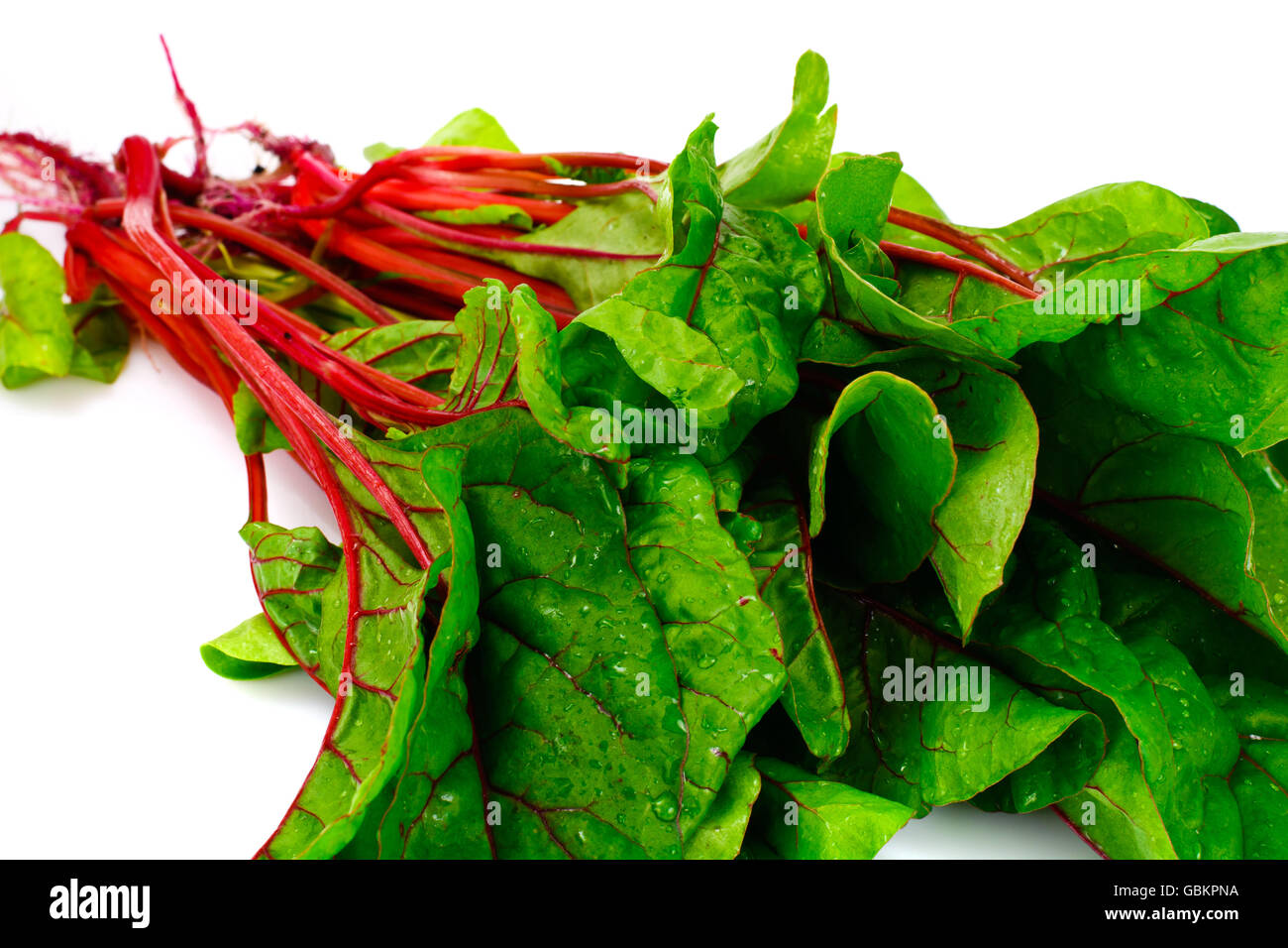Beetroot Swiss Chard on a White Background Stock Photo - Alamy