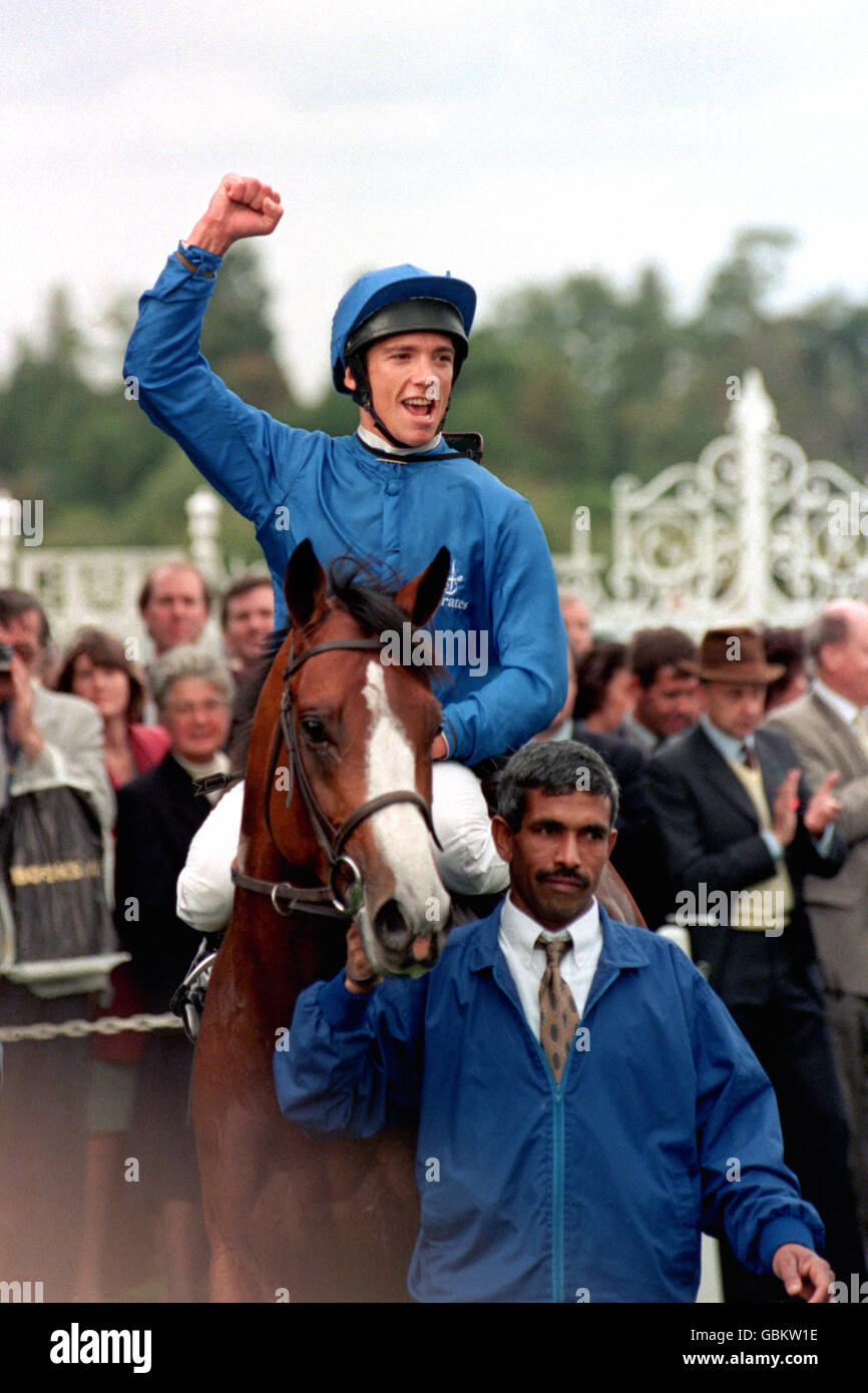 Is led in after winning the queen elizabeth ii stakes hi-res stock ...