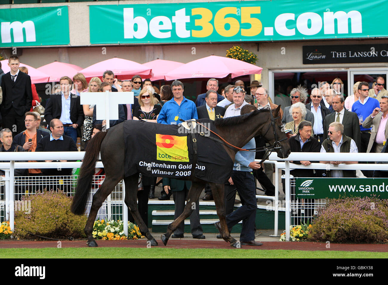 Horse Racing - bet365 Gold Cup Meeting - Day Two - Sandown Park Stock ...