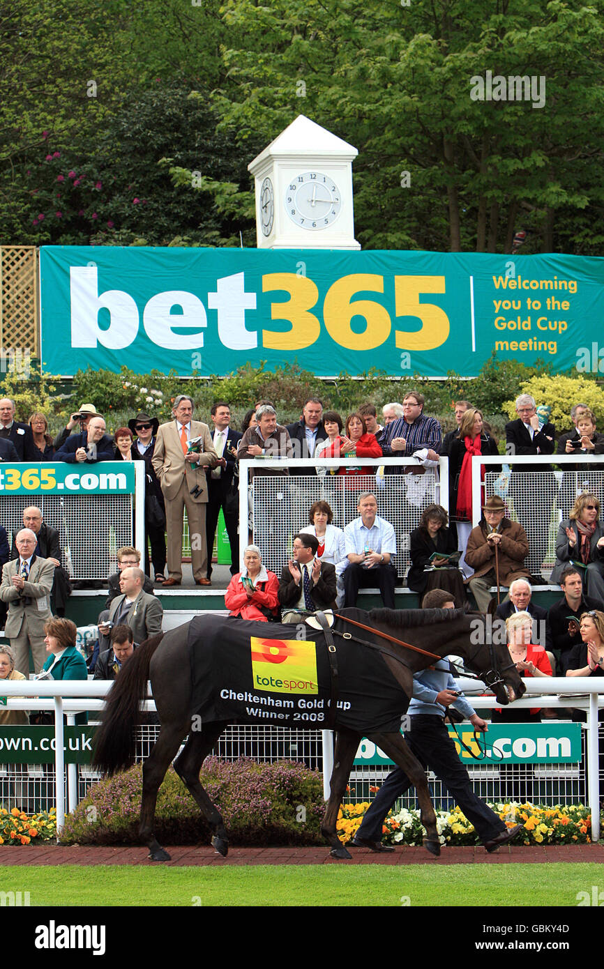 Kauto star gold cup hi-res stock photography and images - Alamy