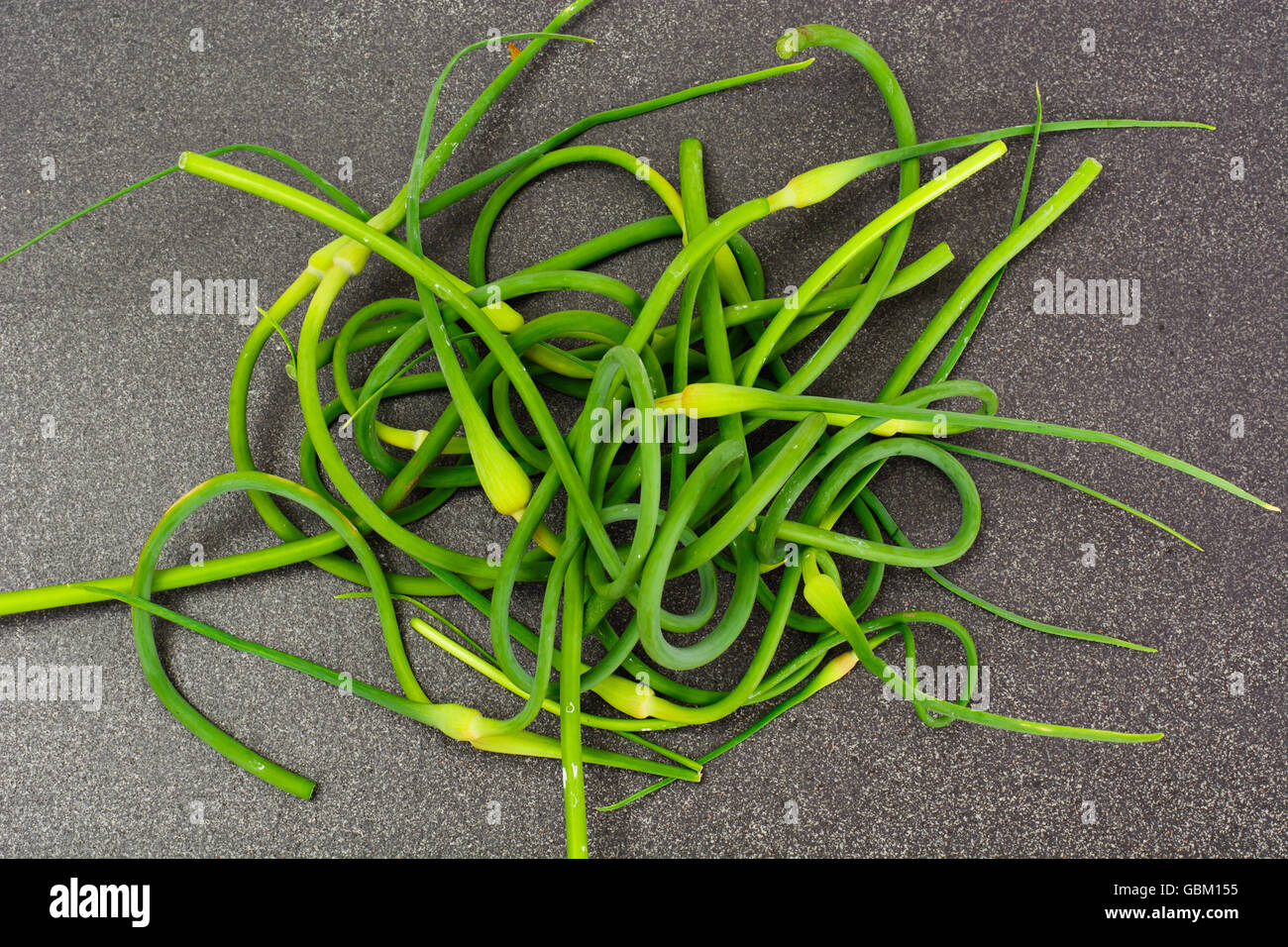 Green Stalks of Garlic Stock Photo - Alamy