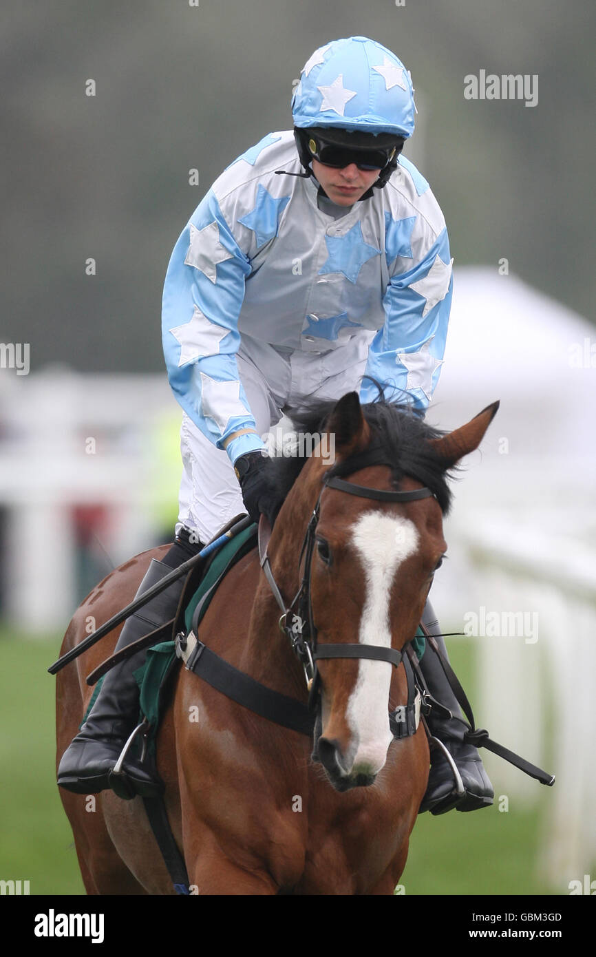 Tjade hi-res stock photography and images - Alamy