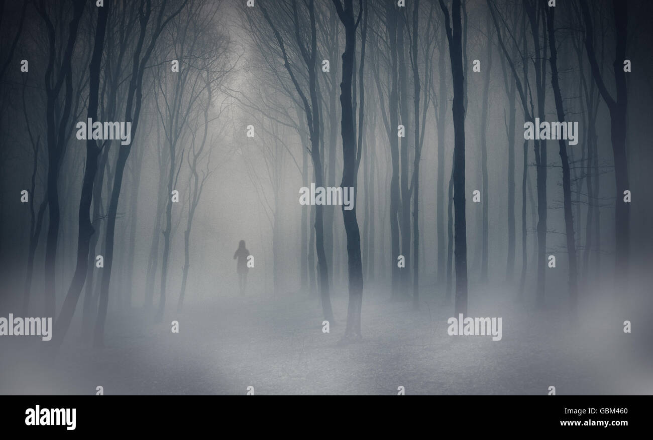 A Person Standing in Dark Forest Stock Photo - Alamy