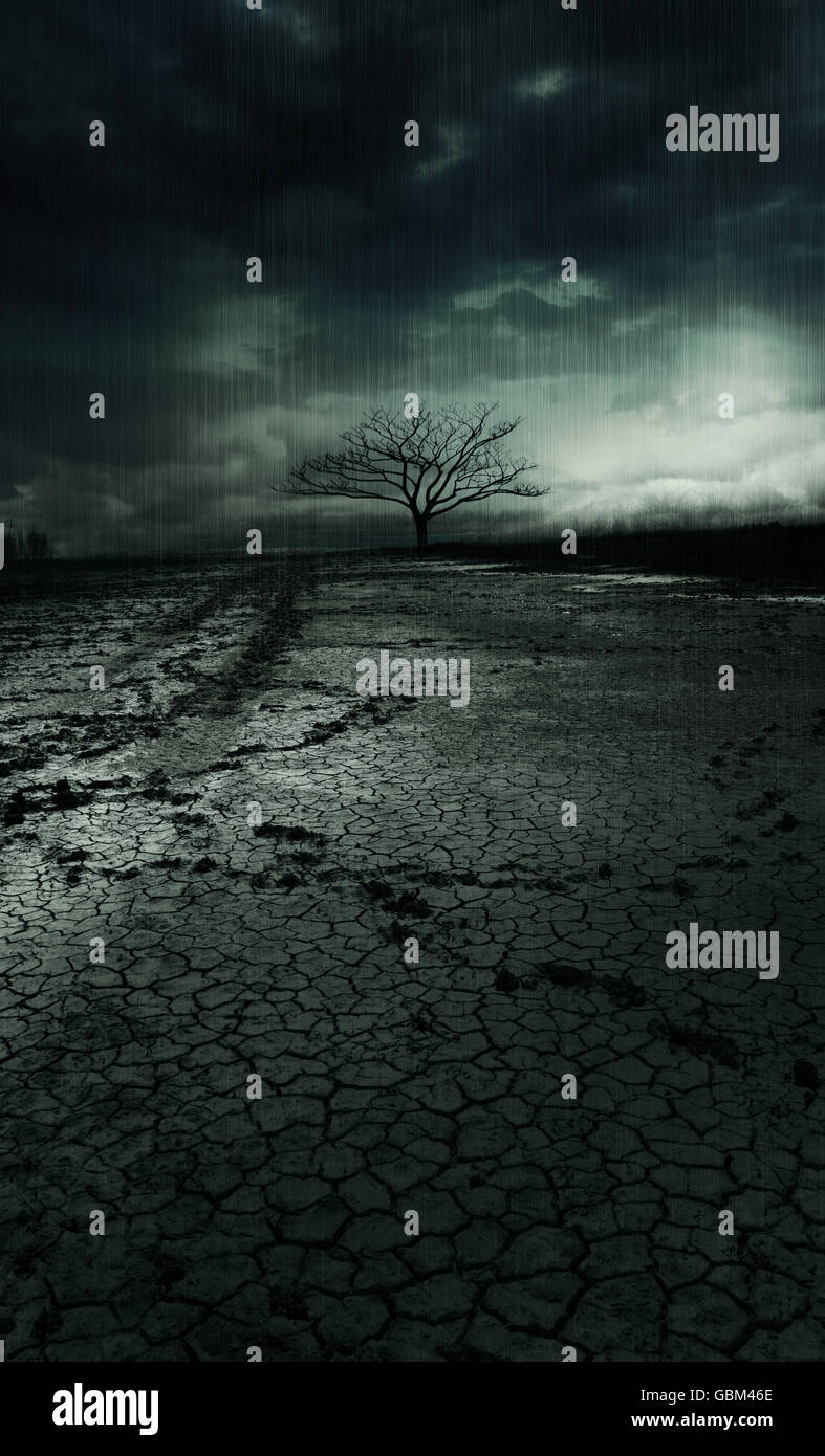 Atmosphere - Thunder, Pouring on Dry Field Stock Photo - Alamy