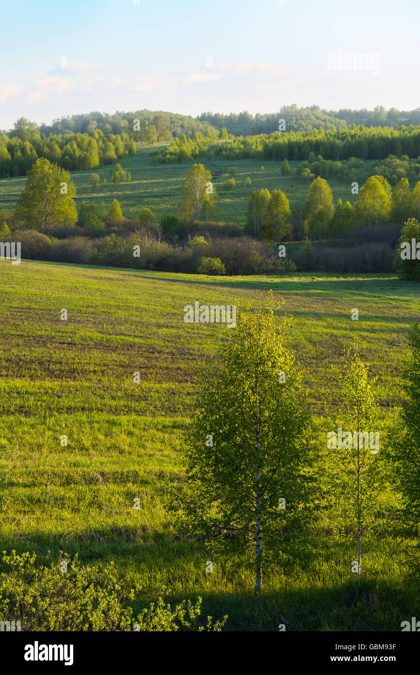 Beautiful hills landscape, vertical. Hill landscape. Rolling hills ...