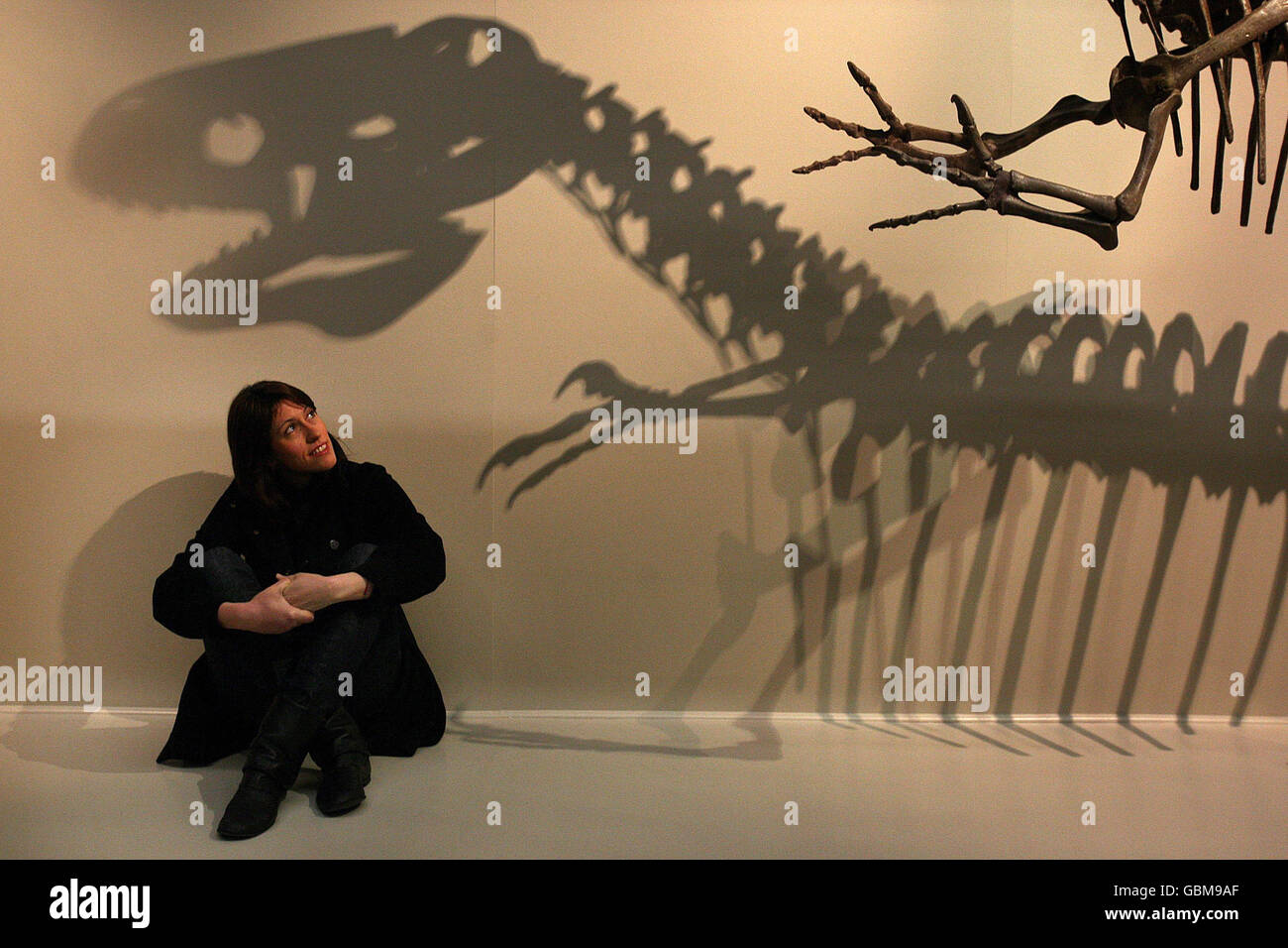 Megalosaurus Skeleton