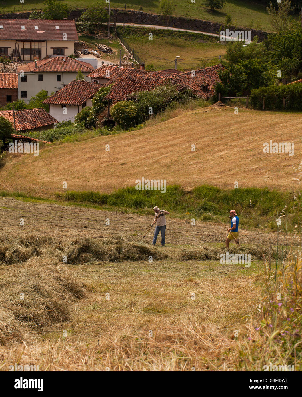Traditional farming methods hi-res stock photography and images - Alamy Traditional farming methods hi-res stock photography and images - Alamy