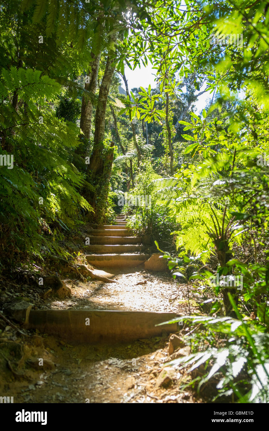 Mt Warning Trail Stock Photo - Alamy