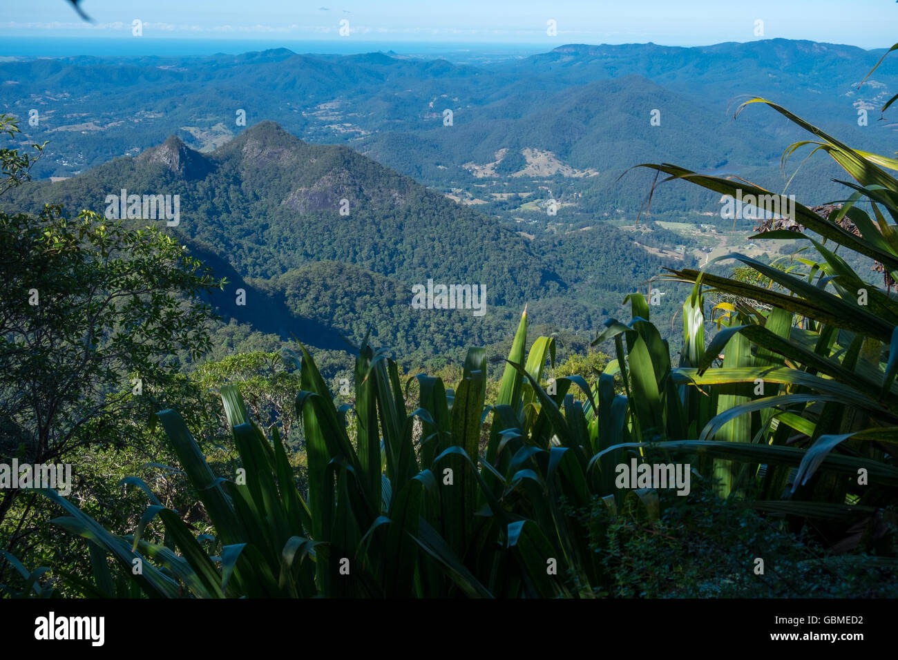 Mount Warning Peak Stock Photo - Alamy