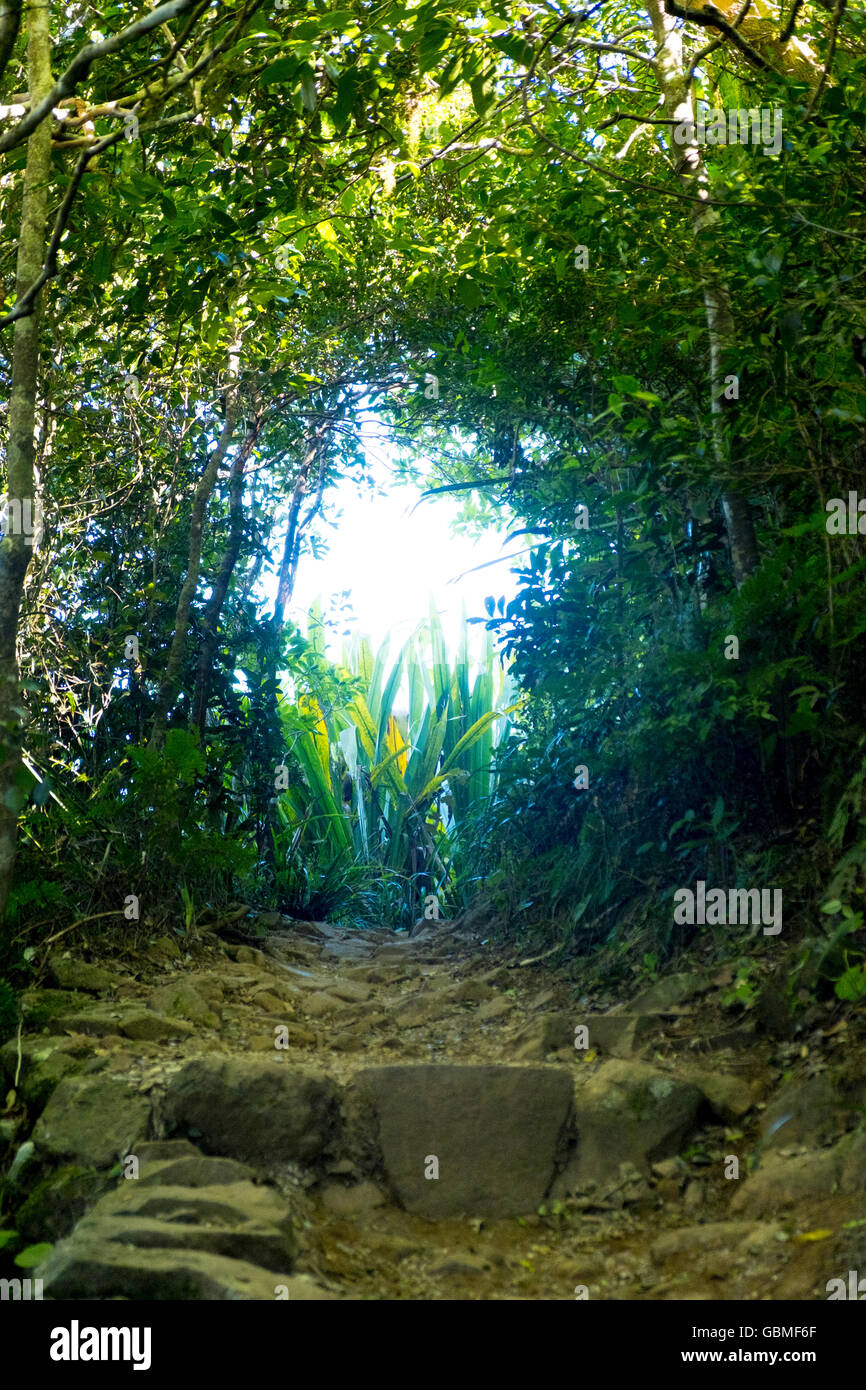 Mt Warning Trail Stock Photo - Alamy