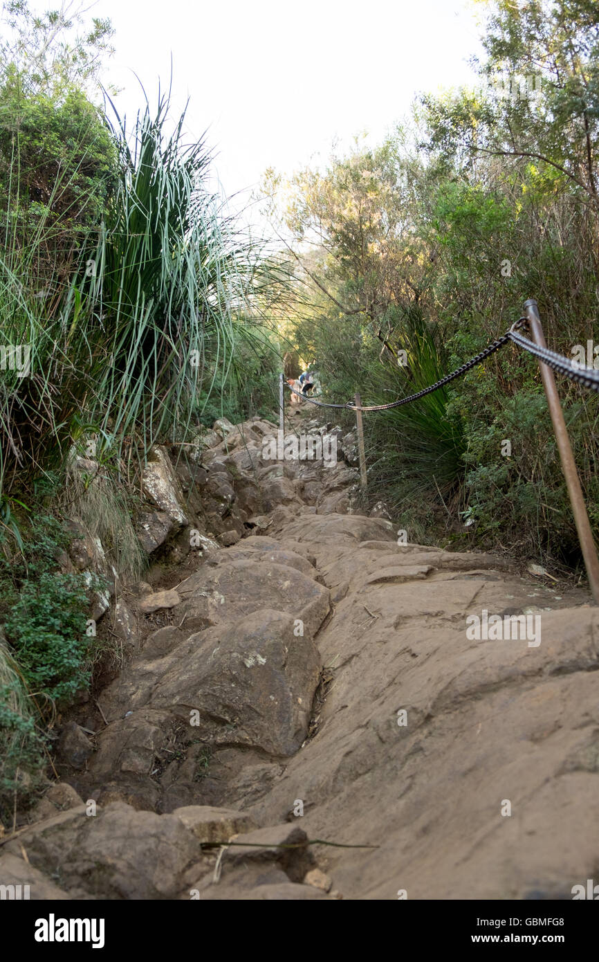 Mt Warning Trail Stock Photo - Alamy