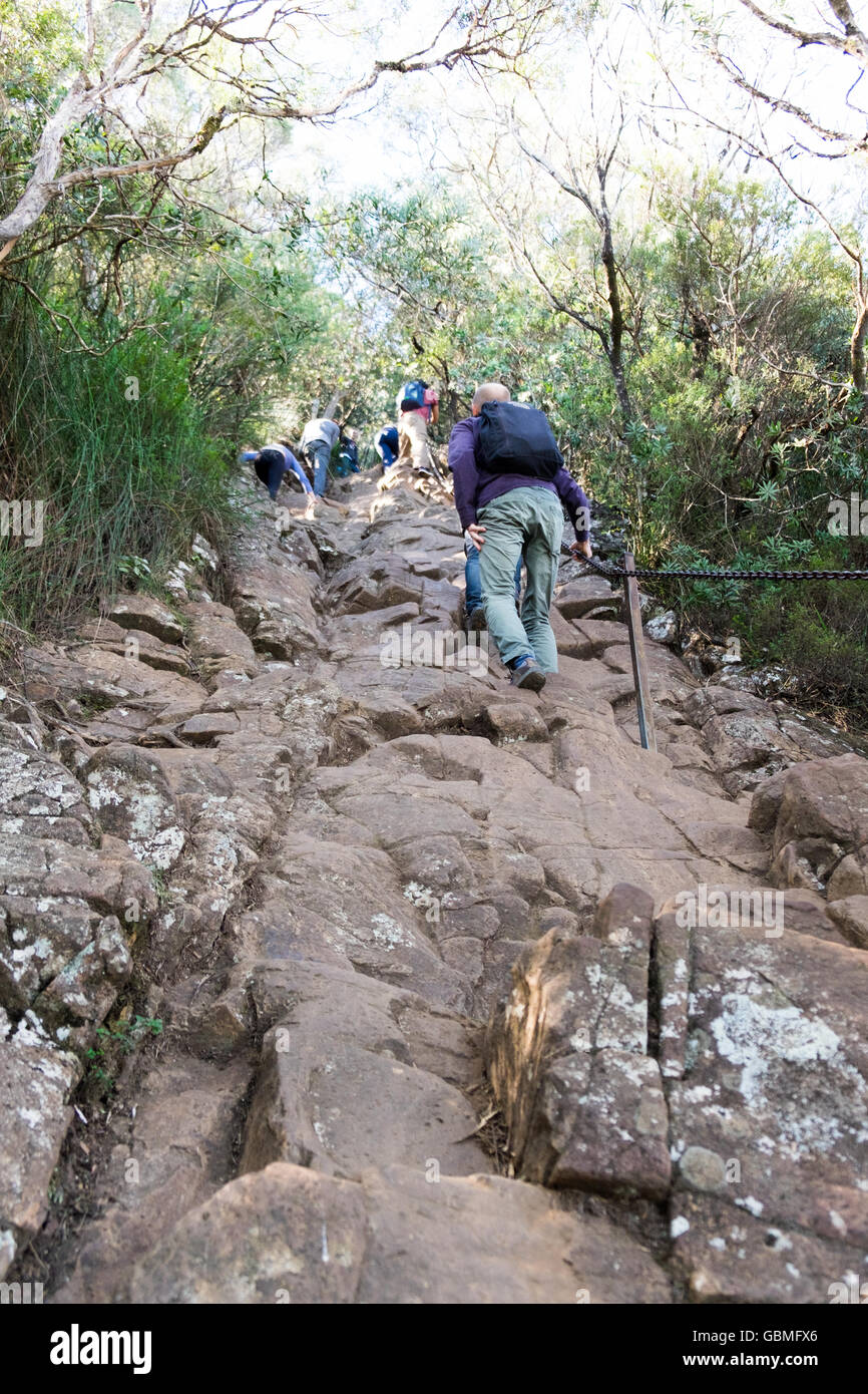 Mt Warning Trail Stock Photo - Alamy