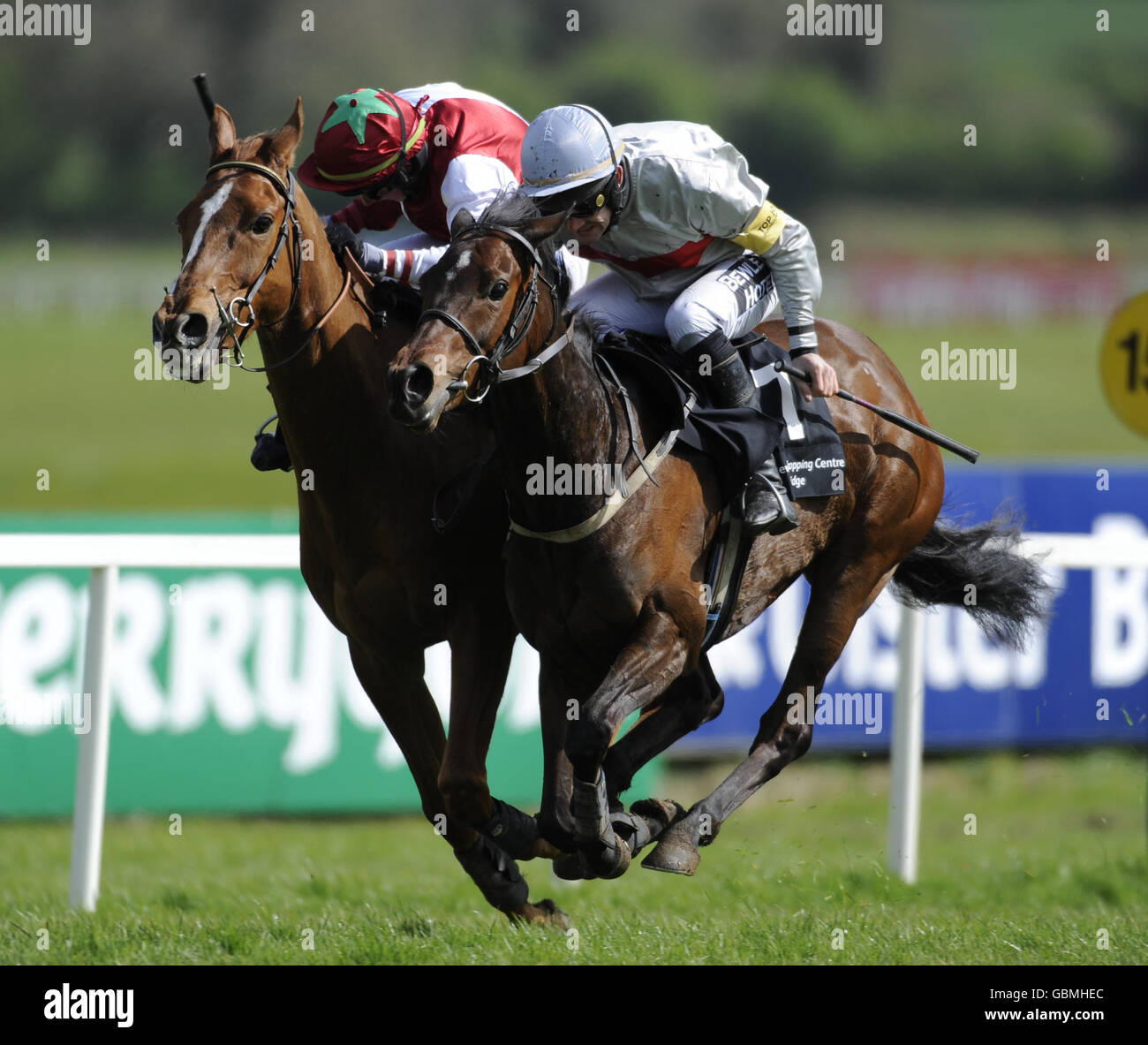 Jockey Ruby Walsh up on Sesanta on his way to victory in The Whitewater ...