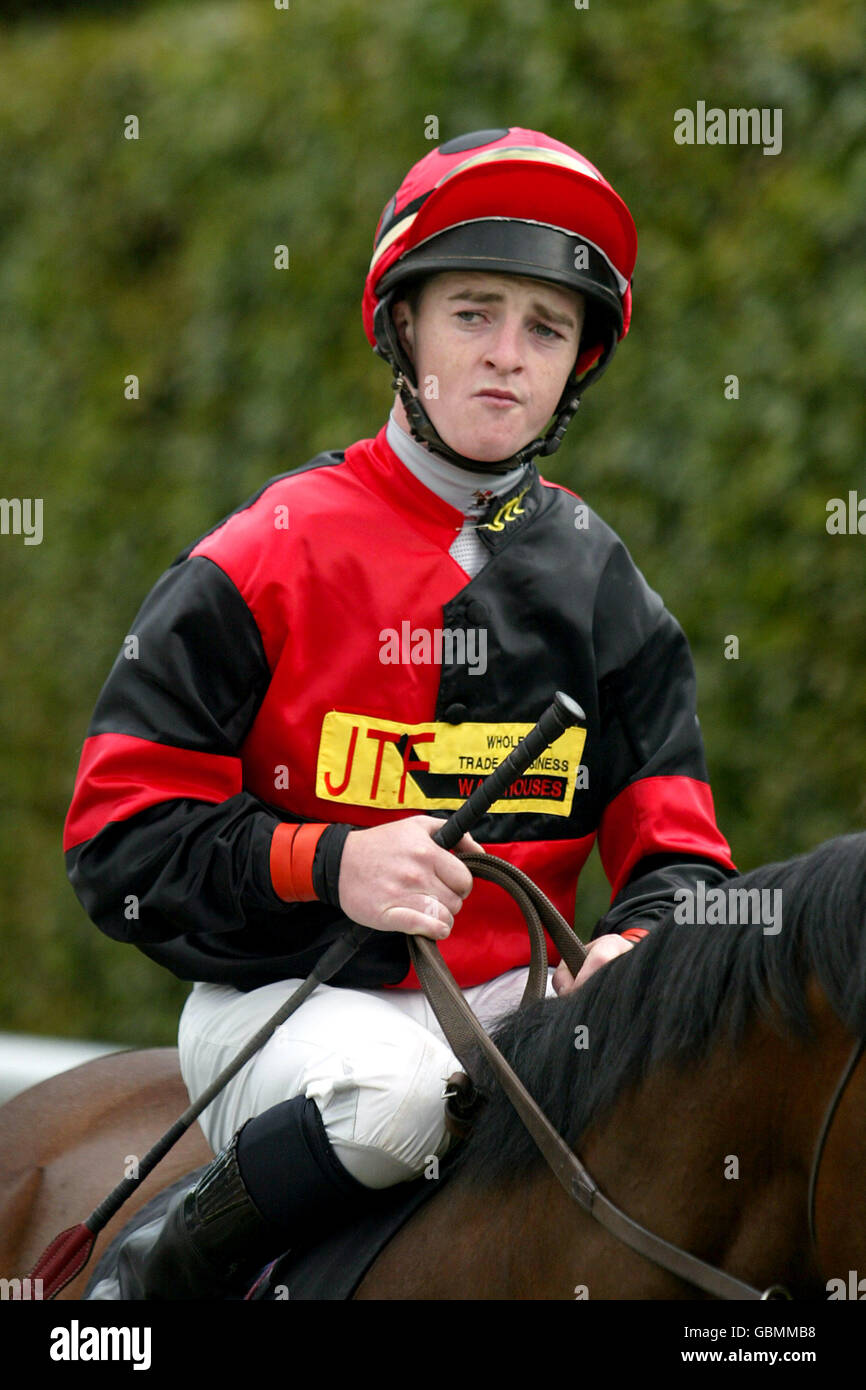 Graham gibbons hi-res stock photography and images - Alamy