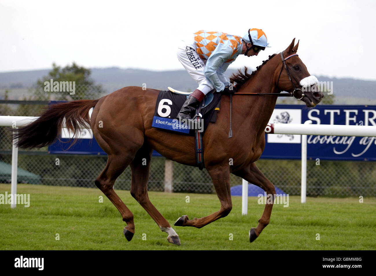 Jockey Martin Dwyer riding Vanderlin in the Betfair Cup (The Lennox ...