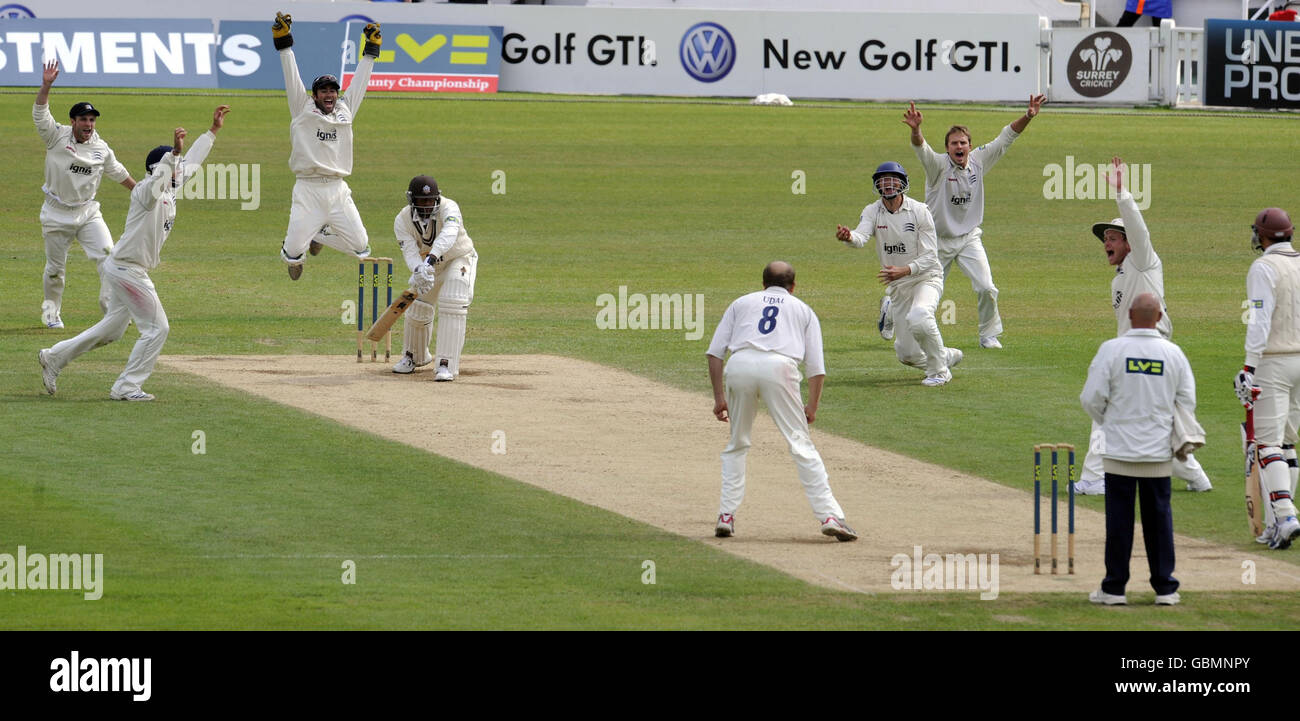Cricket surrey player players action appeal arms raised bowler batsman ...