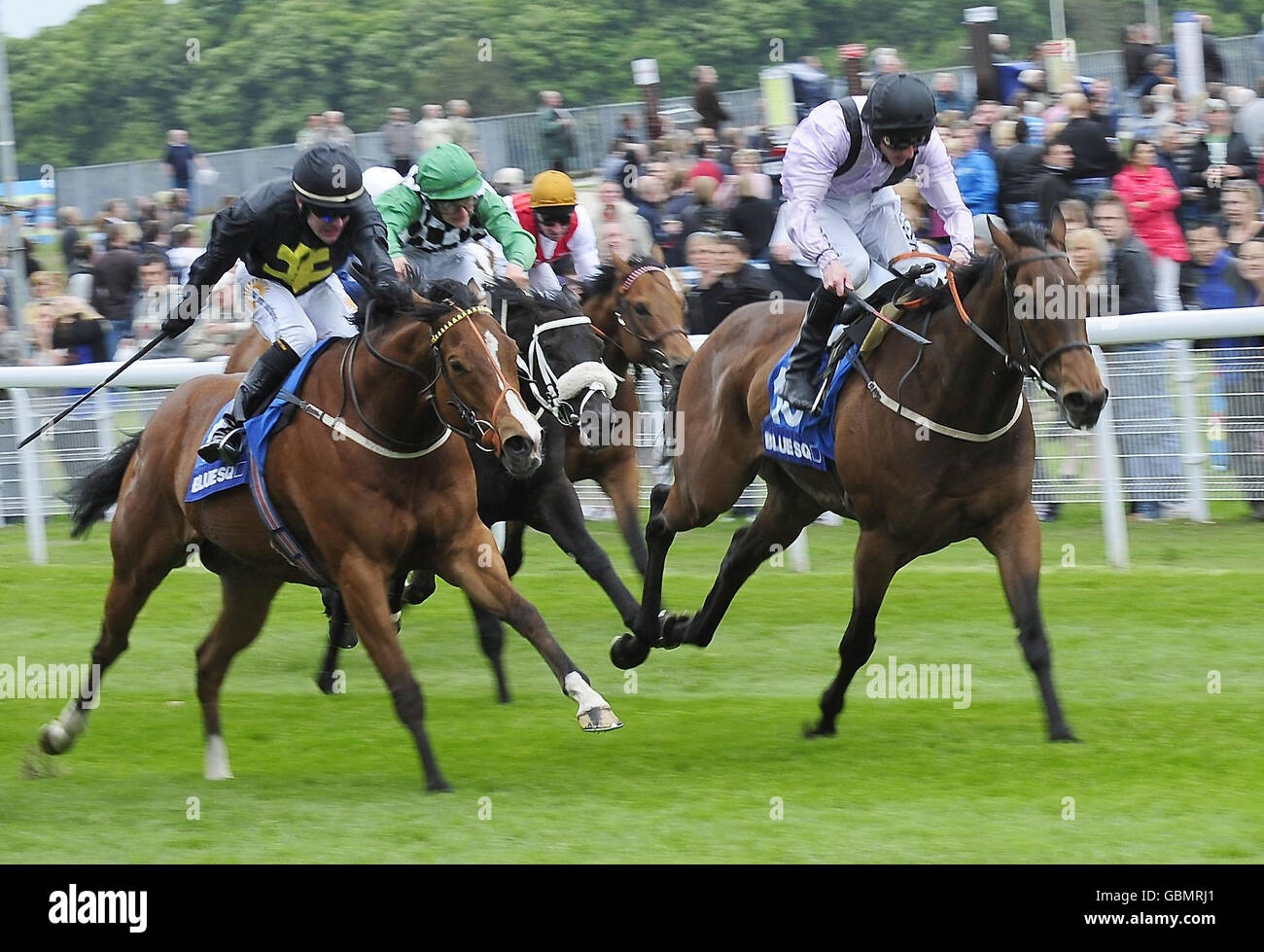 Respect horse riders hi-res stock photography and images - Alamy