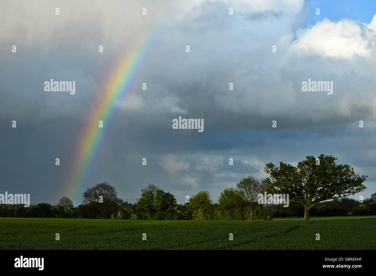 Mangsm creative hi-res stock photography and images - Alamy