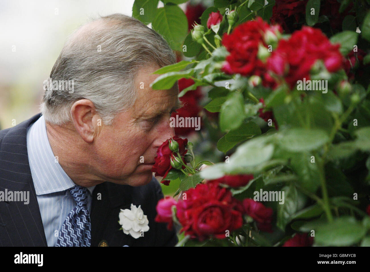 Prince charles garden highgrove hi-res stock photography and images - Alamy