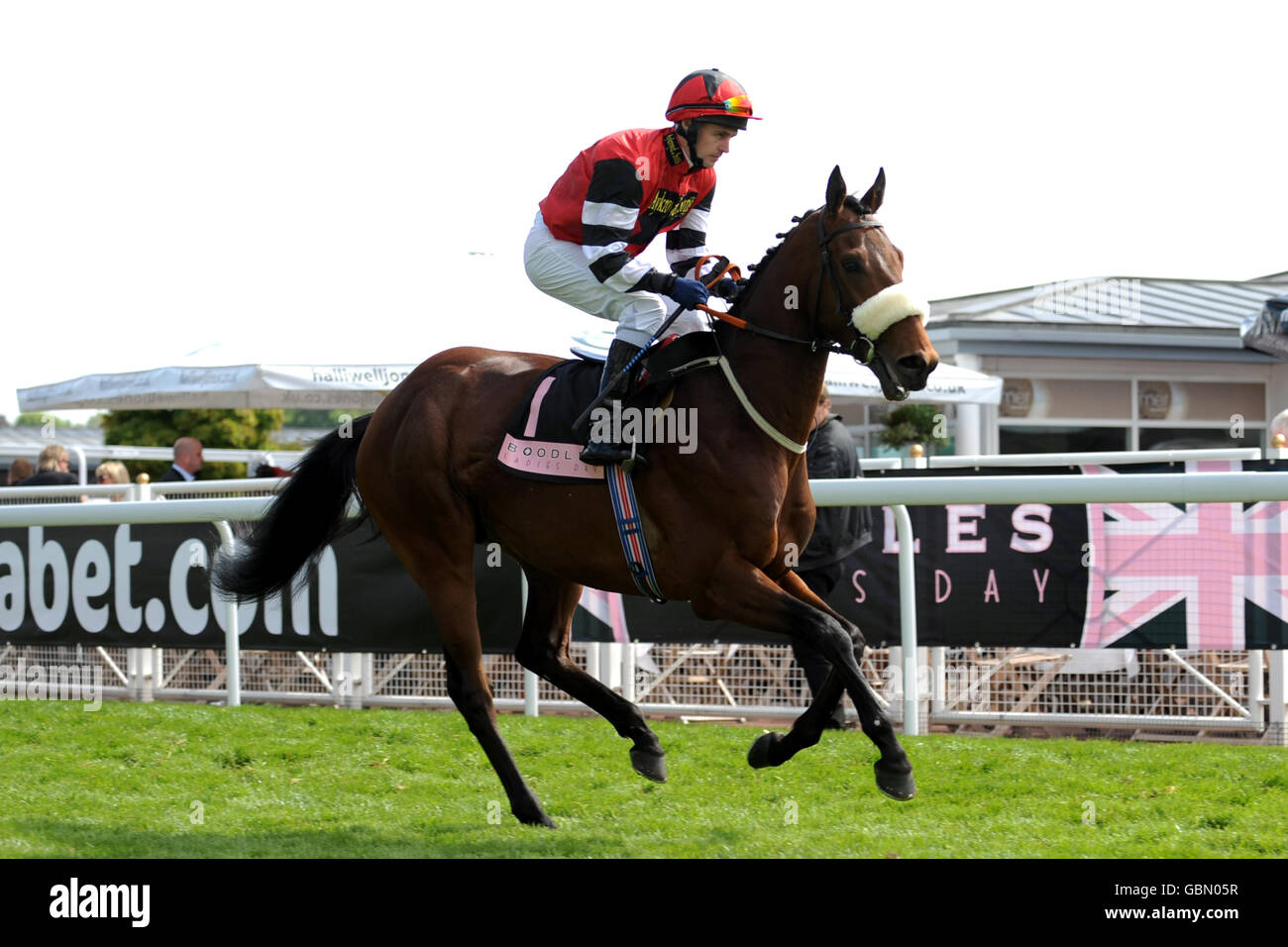 Jockey Tony Hamilton goes to post on Viva Ronaldo for the Boodles ...