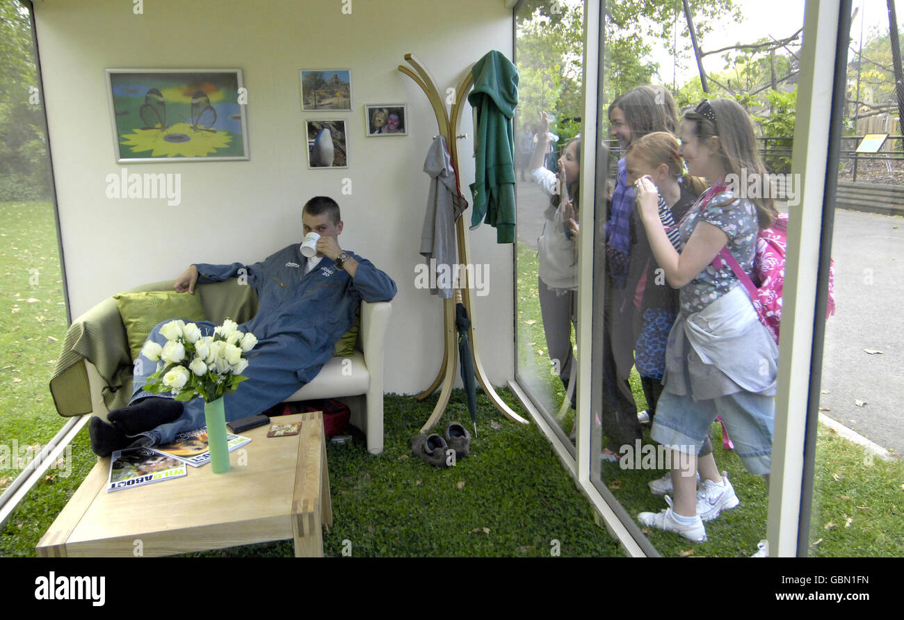 Room with a Zoo Stock Photo - Alamy