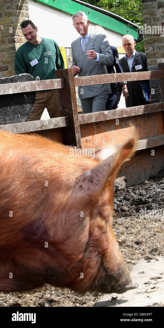 The Prince of Wales walk past pigs as they tour Hackney City Farm in ...