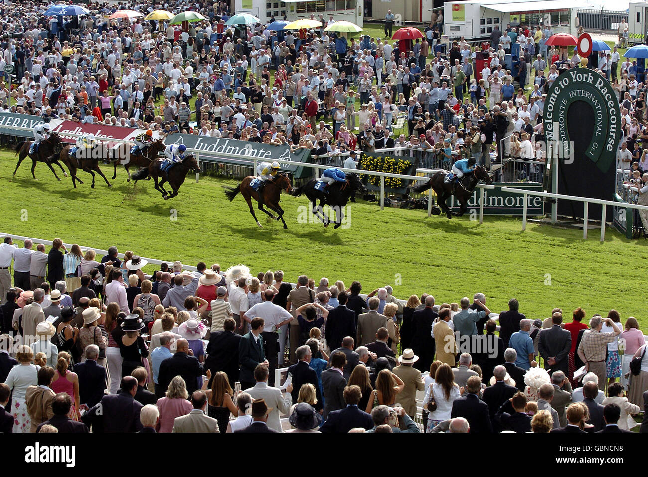 Never say die horse hi-res stock photography and images - Alamy
