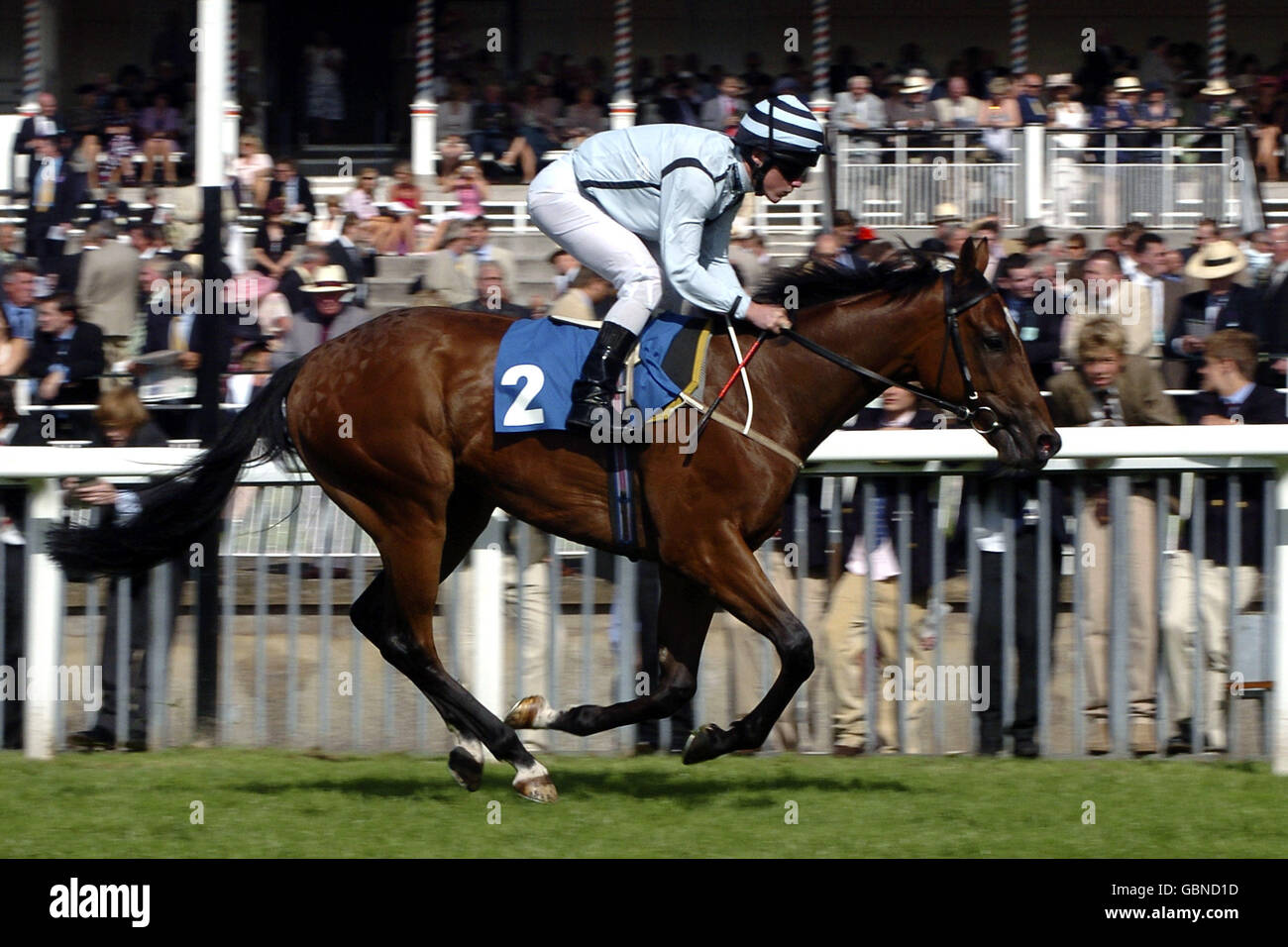 Horse Racing - York Races Stock Photo - Alamy