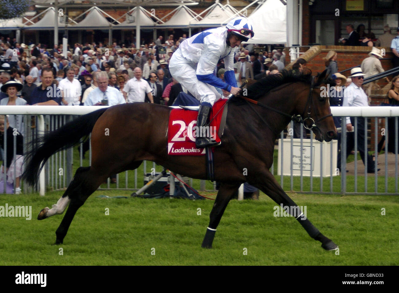 Horse Racing - York Races Stock Photo - Alamy