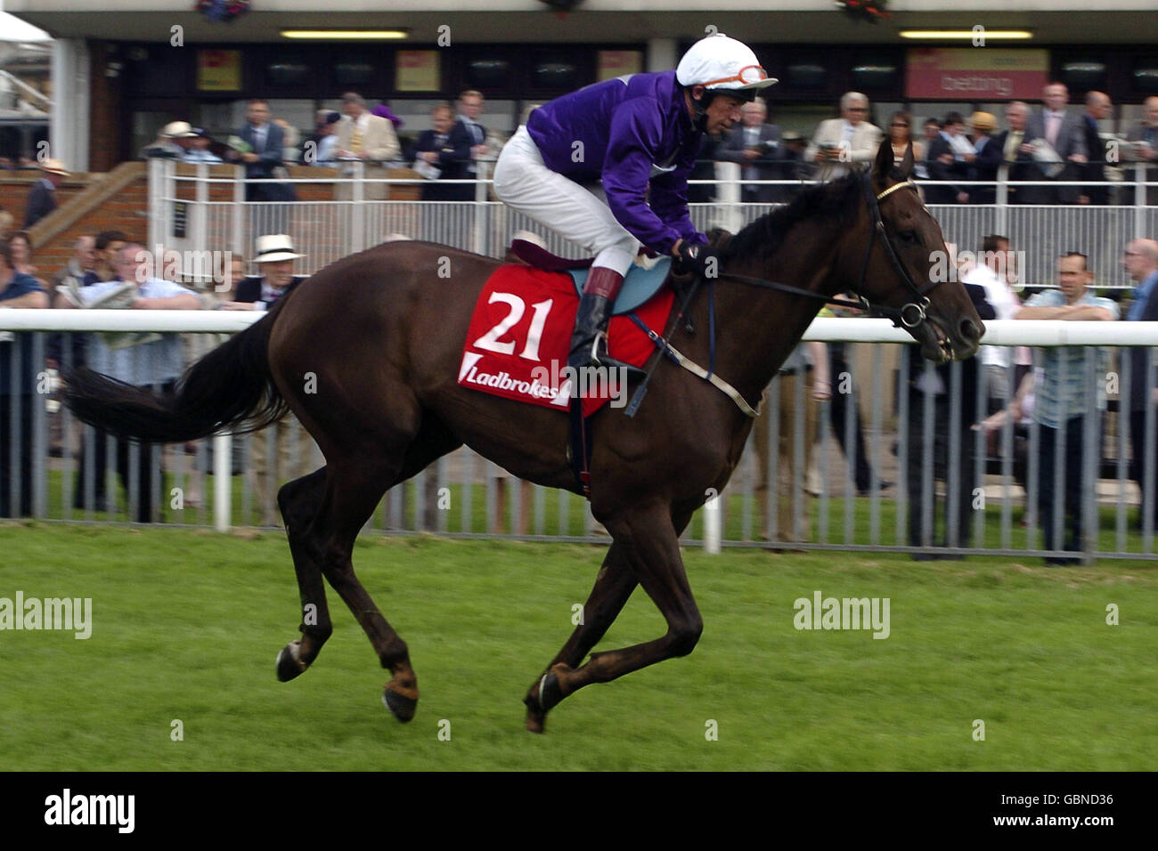 Horse Racing - York Races Stock Photo - Alamy