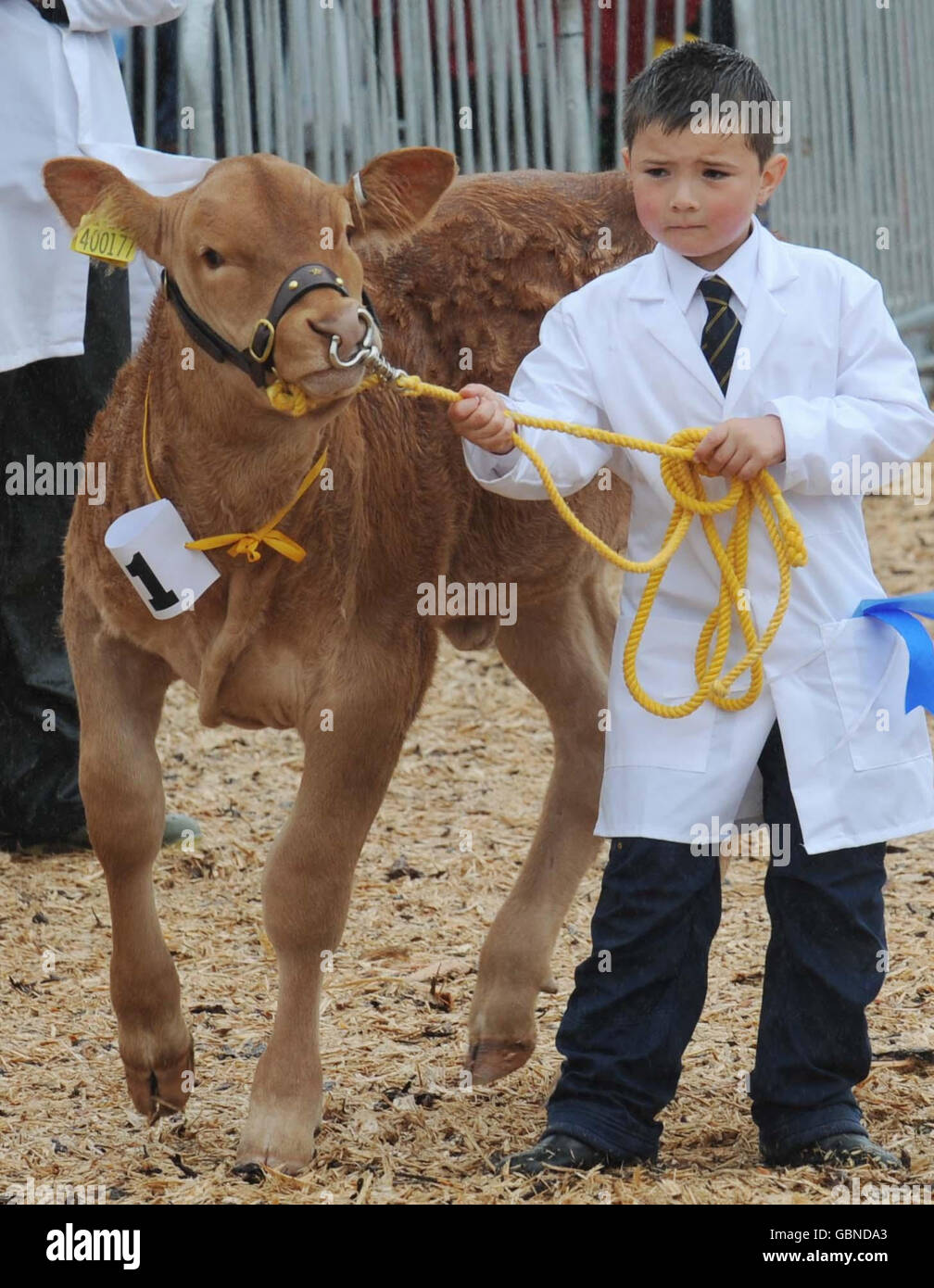 Archie Hill aged 6 and "Evie" from Cheddar after winning the young ...